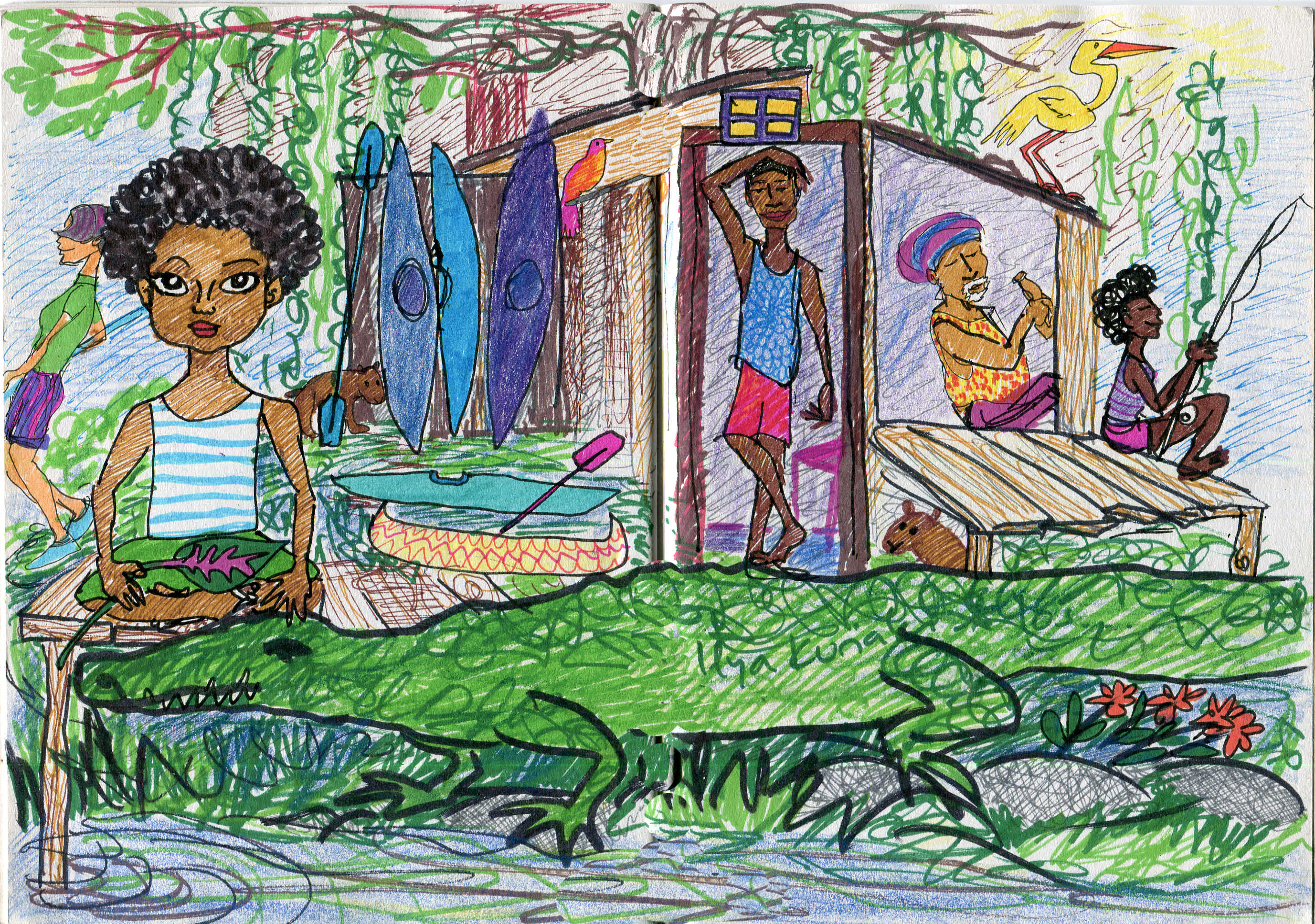 Swamp drawing – Malanga Illustrations